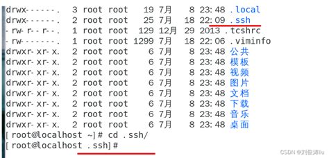 小白带你学习linuxssh服务二十三 Csdn博客