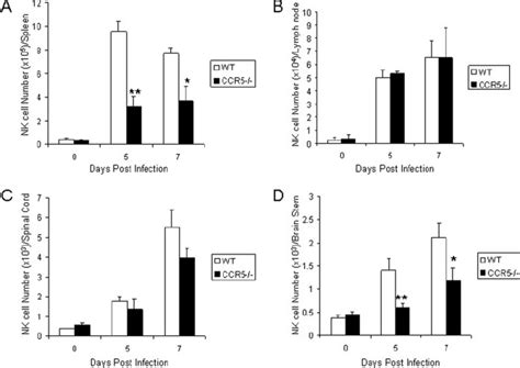 Mobilization Of Nk Cells In Ccr5 Deficient Mice Is Modified Following
