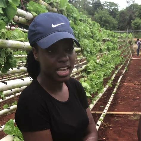 Hydroponic Farm Tour Jamaica Youtube