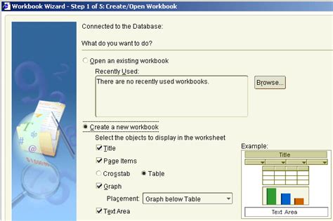 Customizing Discoverer Look And Feel