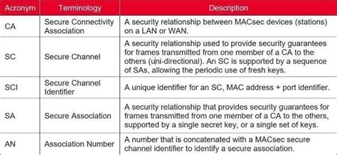 Macsec Mka Validation Why Back To Back Tests Fall Short