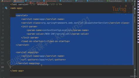 Java Springmvc 01 技术分享 云服务器