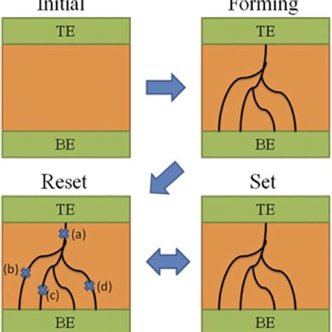 The Schematic Diagram Of A Conductive Filament Download Scientific Diagram