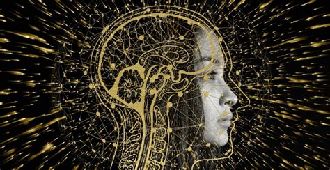 Machine Learning Archives Data Science Prophet