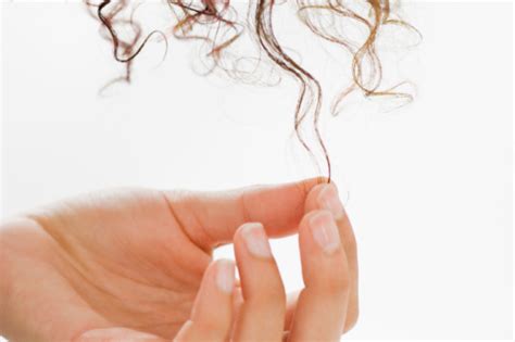 What Is Hair Elasticity And Why It Matters Simply Happy Hair