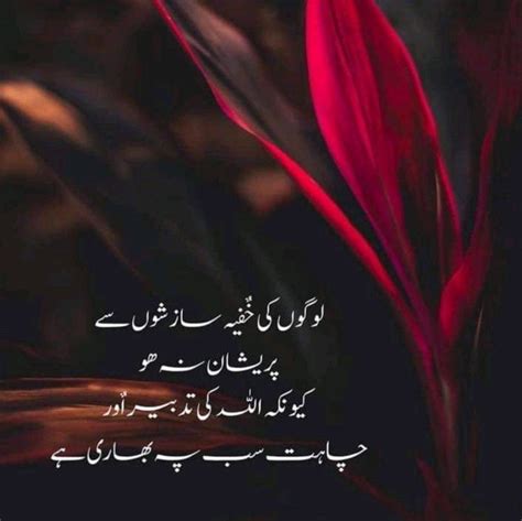 sadam hussain posted on linkedin