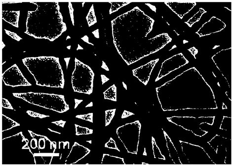 Preparation Method Of Fe And N Doped Porous Carbon Nanofiber Applicable