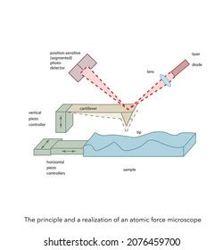 Principle Realization Atomic Force Microscope Stock Vector Royalty