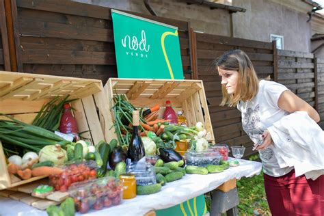 Nod Verde Visual Identity Behance