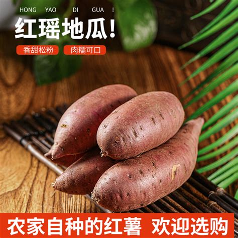 广东农家沙地自种红瑶红薯新鲜现挖日本52系列红瑶地瓜粉糯香甜 虎窝淘