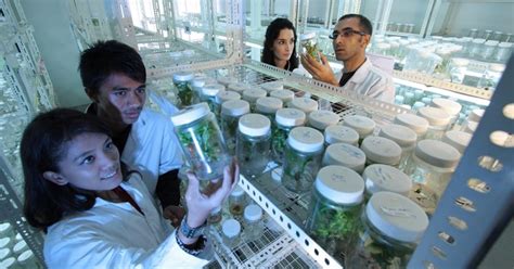 Amr Forecasts Global Bioplastics Market To Reach 6857bn By 2024