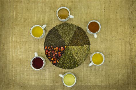 중국 차 차 배경 6 종류의 중국 차 차는 컵에 양조 할 준비가되어 있습니다 0명에 대한 스톡 사진 및 기타 이미지 0명 건강관리와 의술 건강한 생활방식 Istock