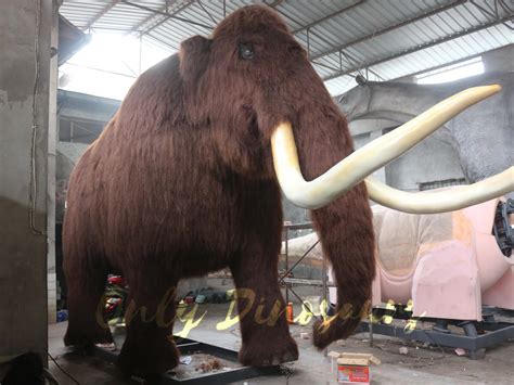 Mammoth Vs Elephant A Comprehensive Comparison Of Them