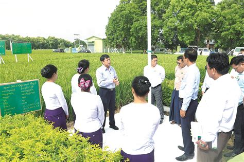 ညောင်ဦးမြို့နယ် တောင်သူများနှင့် ဒုတိယဝန်ကြီး ဒေါက်တာတင်ထွဋ် တွေ့ဆုံ