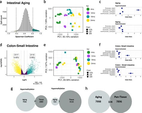 aging and differentiation target distinct genomic compartments a