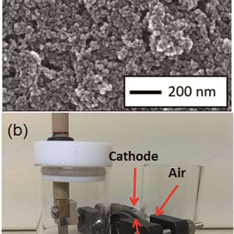 A Sem Image Of A Tio2 C Anode B Photo Of An Alginate Fuel Cell
