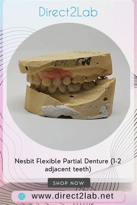 Nesbit Flexible Partial Denture 1 2 Adjacent Teeth Regular Price 205