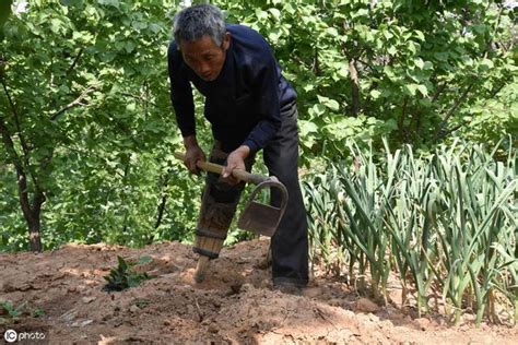 農民又打工又種地，一直辛勤勞作，為啥手裡還是沒錢？ 每日頭條