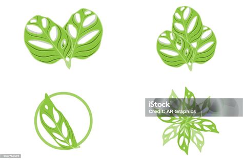 몬스 테라 Adansonii 잎 로고 녹색 식물 벡터 나무 벡터 희귀 한 잎 그림 0명에 대한 스톡 벡터 아트 및 기타 이미지 0명 관목 구멍 Istock