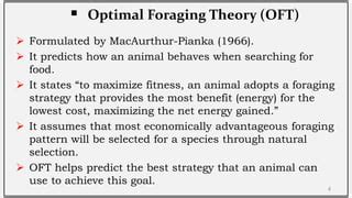 Optimal Foraging Theory OFT PDF