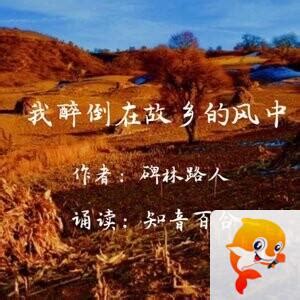 知音百合 诵读我醉倒在故乡的风中 VV