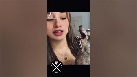 НЕмузыкальный накричала By D Stiwen Youtube