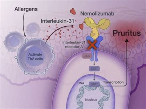 Ad Il A Nemolizumab Iii