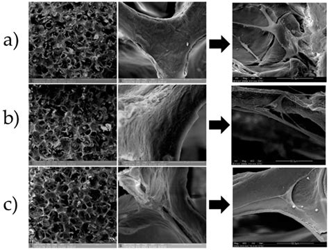 JFB Free Full Text Biomaterials Current Strategies And Novel Nano