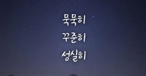 깎아제초벌초 고수의 벌초예초 서비스 전라남도 여수시 숨고 숨은고수