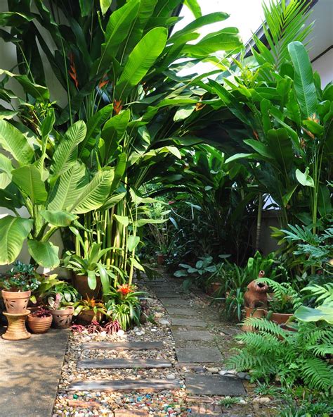96 Gambar Desain Taman Hutan Tropis Tampil Kece Mau Coba