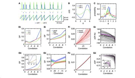 Physiological Neuronal Heterogeneity Can Enhance Correlated Download Scientific Diagram