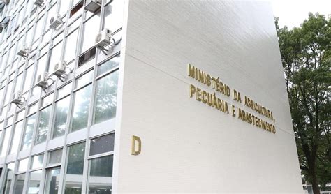 Ministério interdita fábrica de petiscos após morte de cachorros em