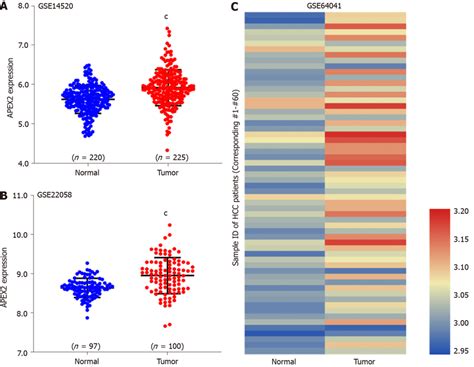 Apex2 Over Expression In Liver Cancer Was Validated In The Gene Download Scientific Diagram