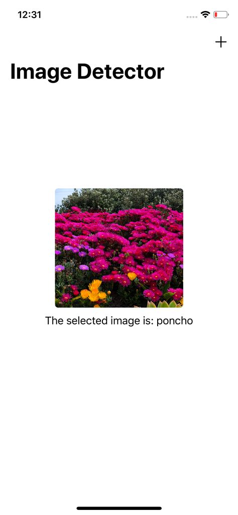 Github Tarokhdev2020imagedetector For Ios Detect Images And Objects With Core Ml