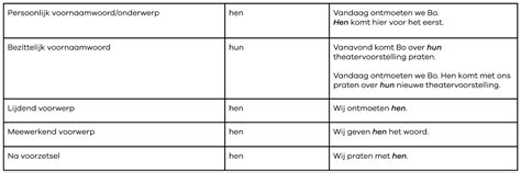 Hoe Gebruik Je Voornaamwoorden Pro Now