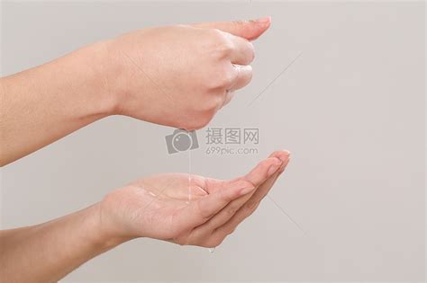 手高清图片下载 正版图片500551804 摄图网