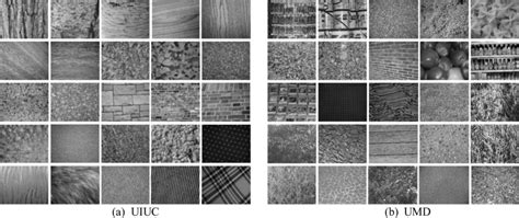 sample image of a uiuc and b umd dataset download scientific diagram