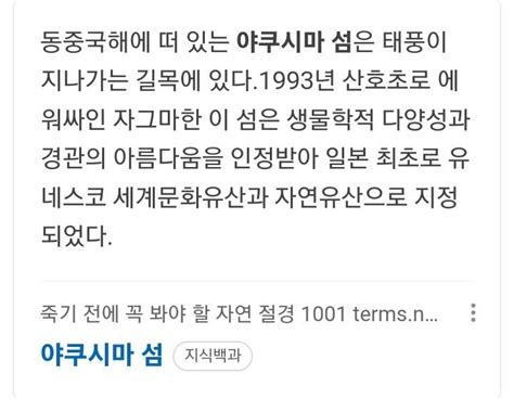 일본 규슈 산에서 홀로 산행중 실종된 김성진씨실종 20일째 인스티즈instiz 이슈 카테고리