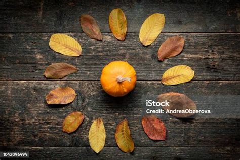 가 배경입니다 즐거운 추수 감사절입니다 호박 고 어두운 나무 배경에 낙된 엽입니다 10월에 대한 스톡 사진 및 기타 이미지 10월 11월 가을 Istock