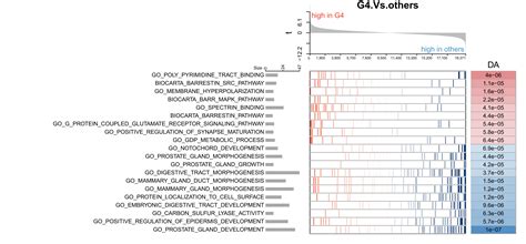 Advanced Analysis Netbid