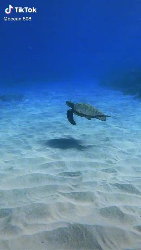 Post 676603709010165760 I Really Hate Creating