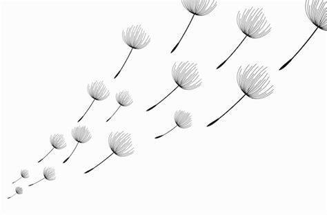 Premium Vector A Dandelion Blowing In The Wind