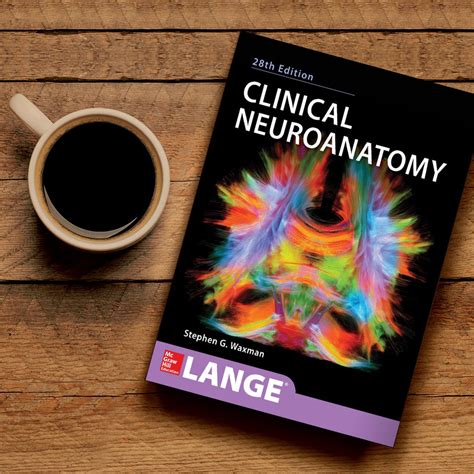 Jual Clinical Neuroanatomy 28th Edition Shopee Indonesia