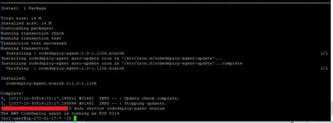 Node Js Auto Deploy Angular App Using Bitbucket Pipeline And Aws Codedeploy Stack Overflow