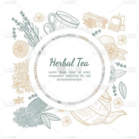 草药茶横幅模板与文字空间咖啡馆餐厅菜单或茶店设计手绘矢量图素材 花瓣网