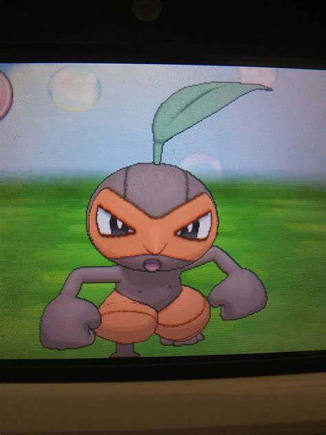 色コノハナ！ デコポンの色違いポケモン奮闘記