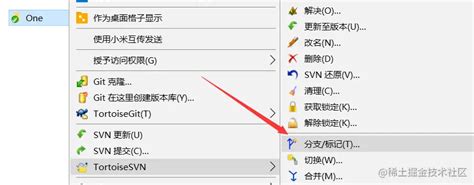 Tortoise（乌龟）svn分支操作svn 目录结构一般包含 Trunk，branches，tags 三个一级目录。 掘金