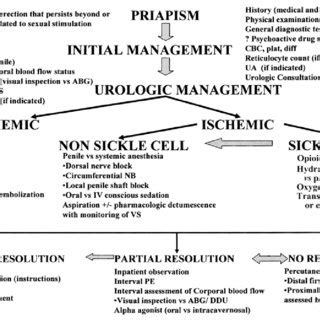 WINTER SHUNT PERCUTANEOUS GLANDULOCAVERNOUS SHUNT Download Scientific Diagram