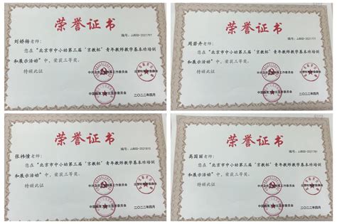 清华附中十四位教师在北京市第三届京教杯教学基本功大赛中喜获佳绩 清华大学附属中学