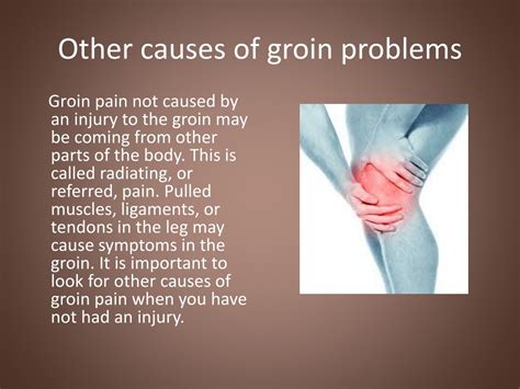 Ppt Groin Injuries And Problems Powerpoint Presentation Free